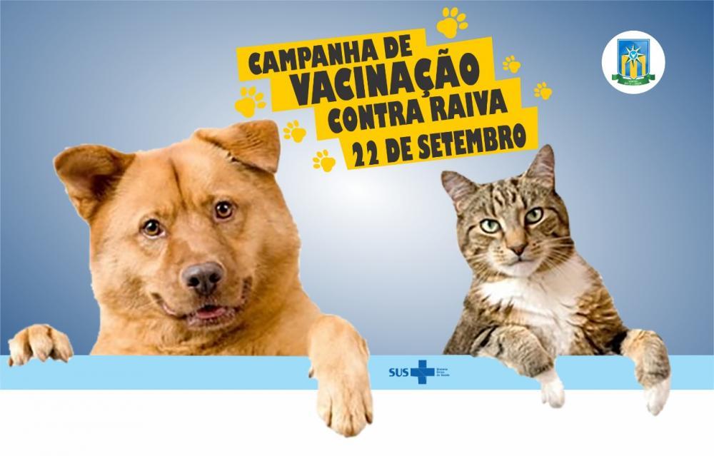 CAMPANHA DE VACINAÇÃO CONTRA RAIVA SERÁ REALIZADA AMANHÃ EM TODO O ...