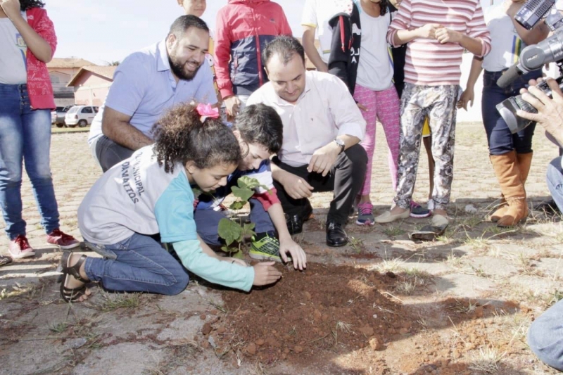 Alunos de escola municipal realizam plantio de ipês na Semana do Meio ... Alunos de escola municipal realizam plantio de ipês na Semana do Meio ...